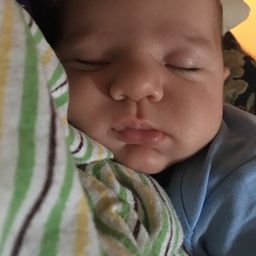 Babies Noses Look Big