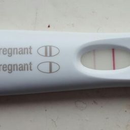 First Response Negative Pregnancy Test Results