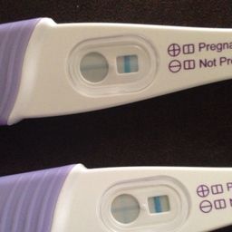 Negative Ept Pregnancy Test Sign